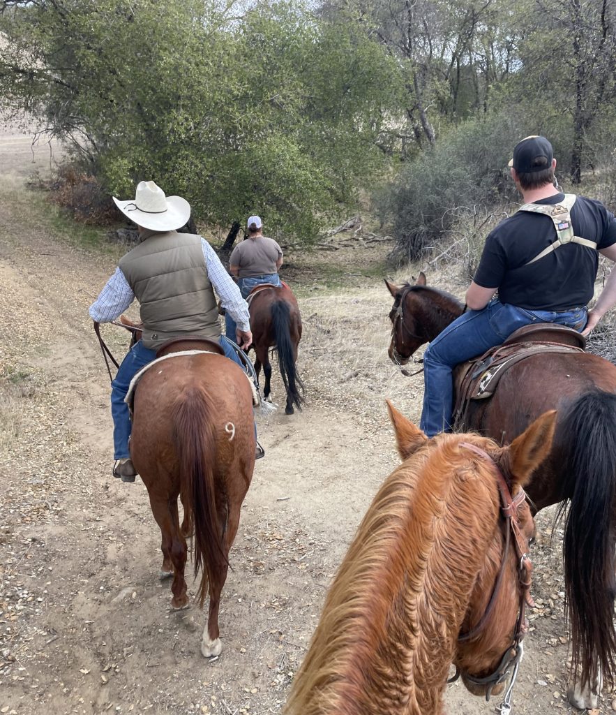 Ranch Activity | Molnar Walking Y Ranch
