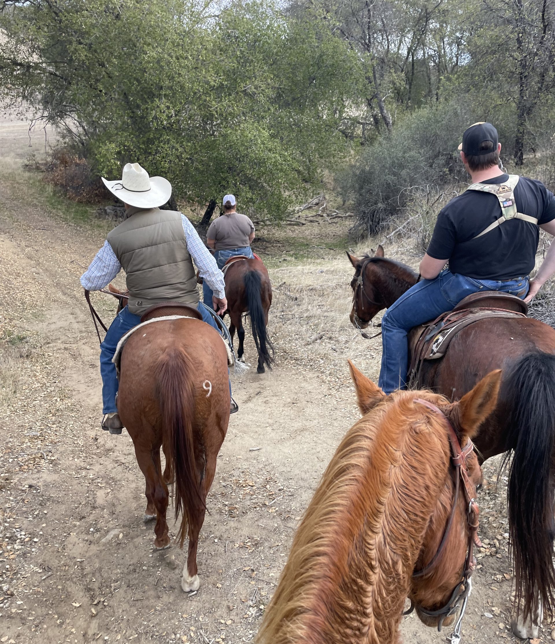 Ranch Activity | Molnar Walking Y Ranch